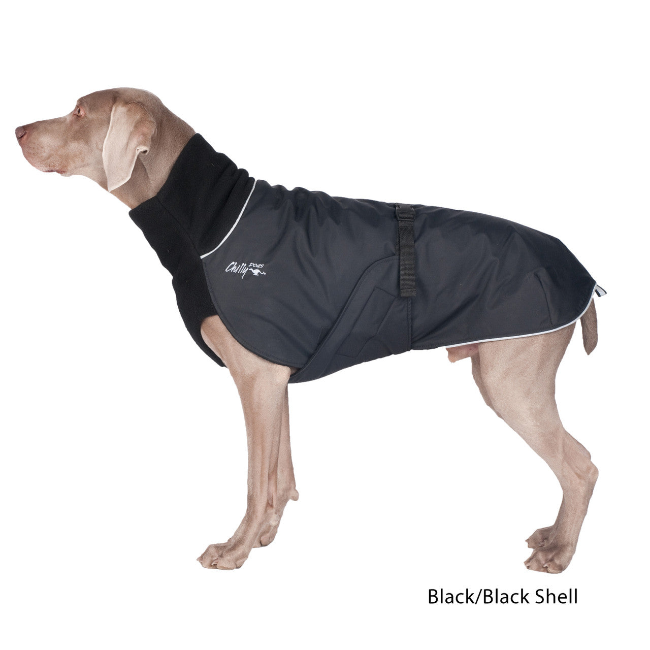 Chilly Dogs: Premium Canadian-Made Dog Coats for Every Adventure ...