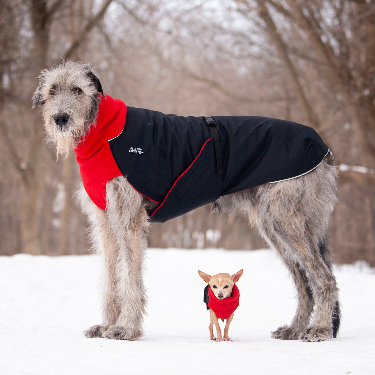 Chilly Dogs: Premium Canadian-Made Dog Coats for Every Adventure ...
